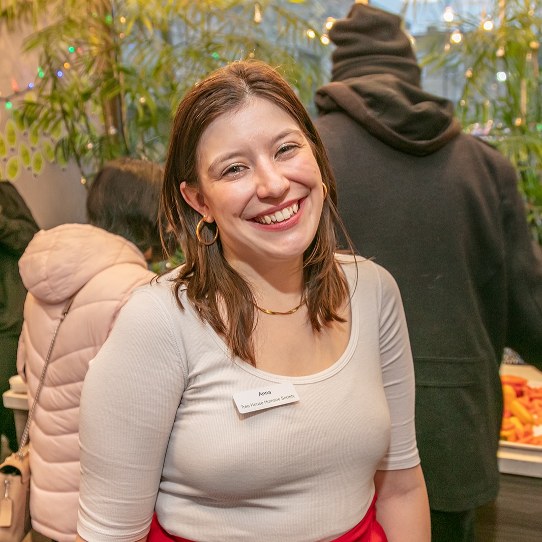 Acadium - Free Marketing Courses & Digital Apprenticeships