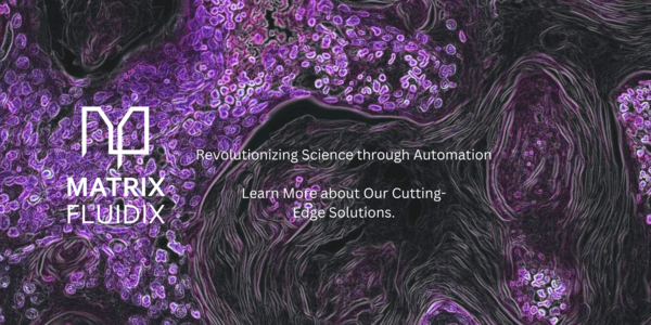 Acadium - Free Marketing Courses & Digital Apprenticeships