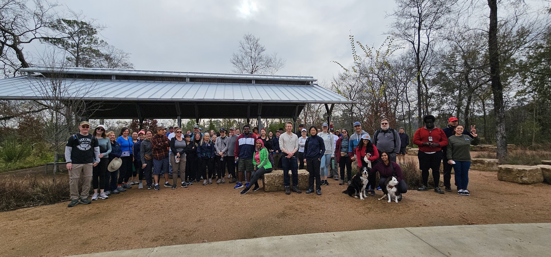 Acadium - Free Marketing Courses & Digital Apprenticeships