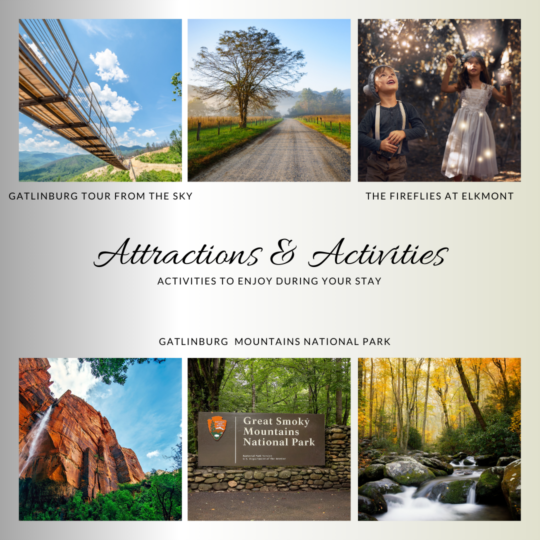 Acadium - Free Marketing Courses & Digital Apprenticeships